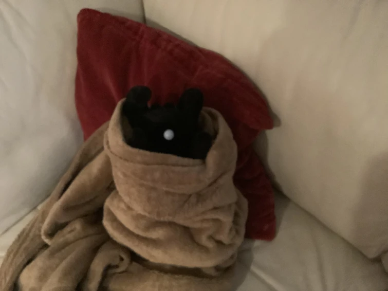 Silly little Krill plush :] | Fandom