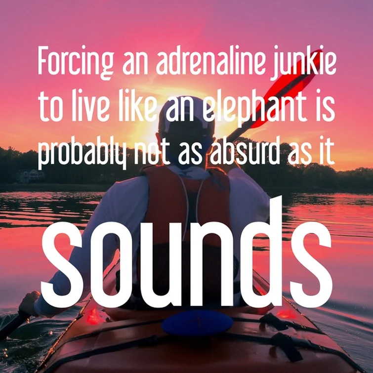 So I tried InspiroBot | Fandom