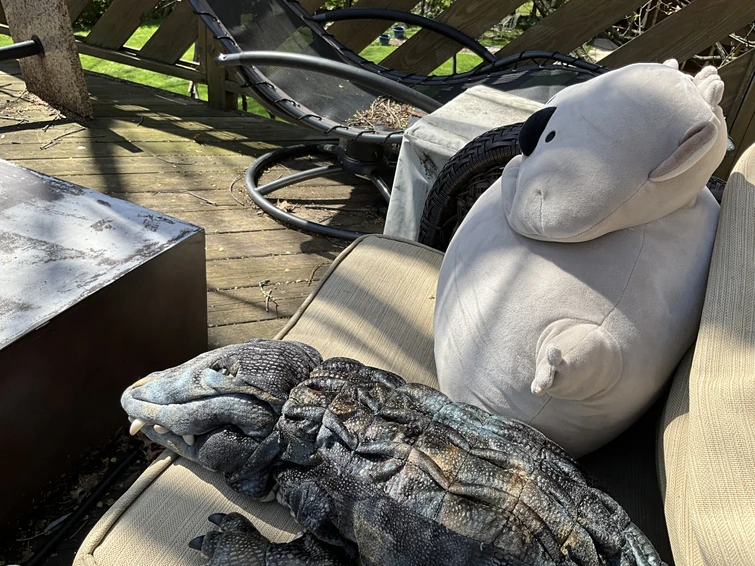 Difficult decision. | Fandom