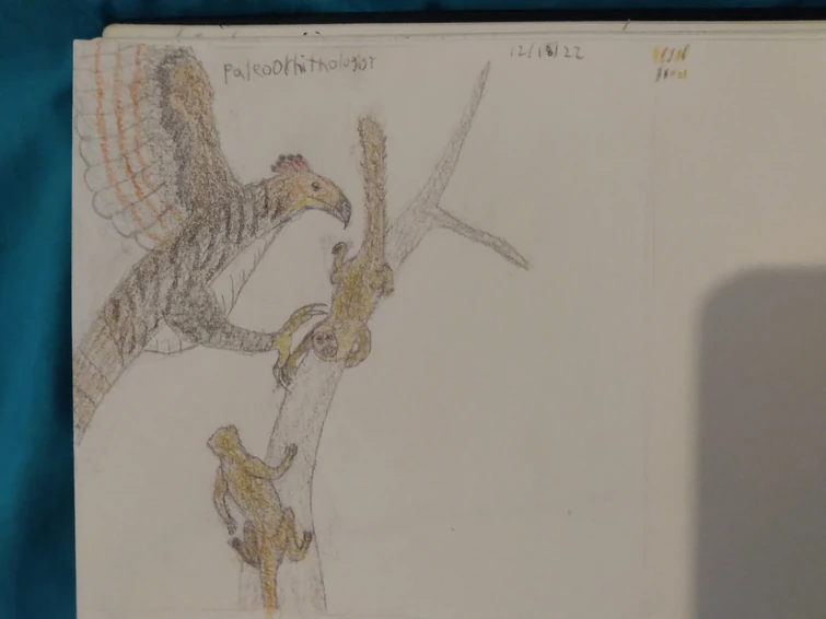 The real roc | Fandom