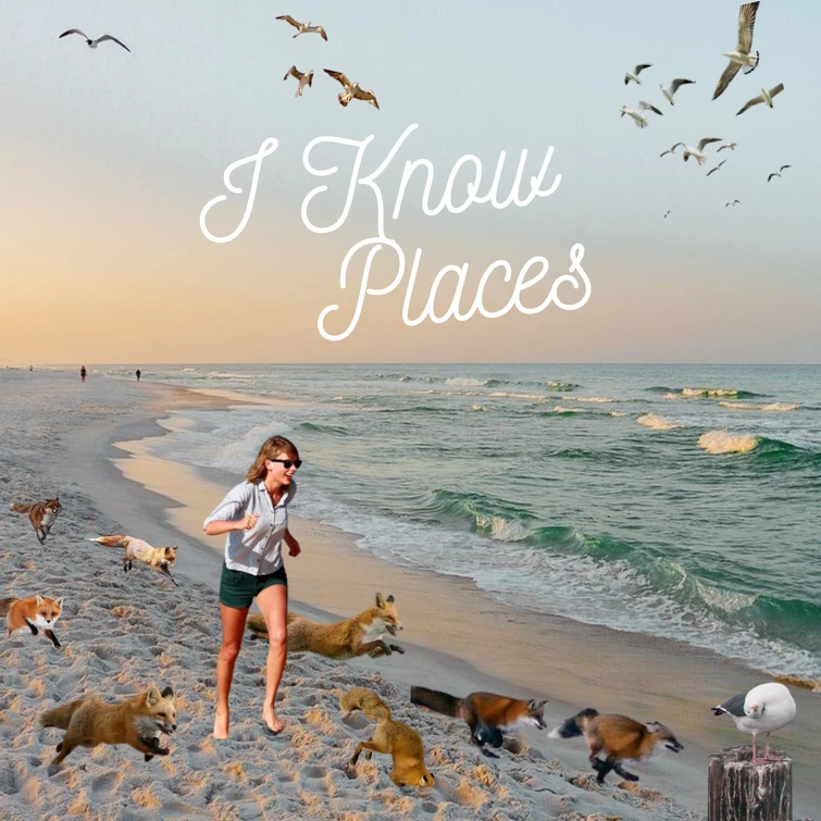 I Know Places Cover | Fandom