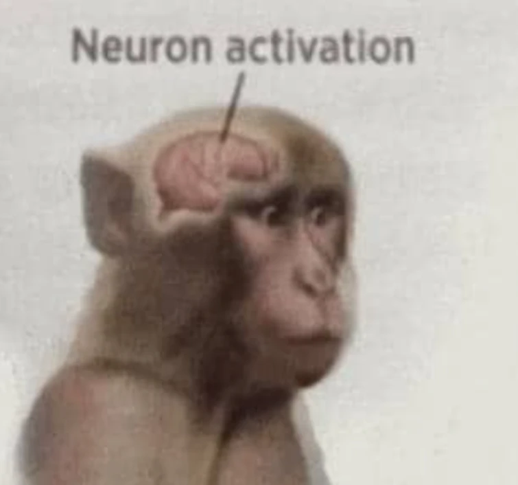 do you guys think I'm the most brainrotted user here | Fandom