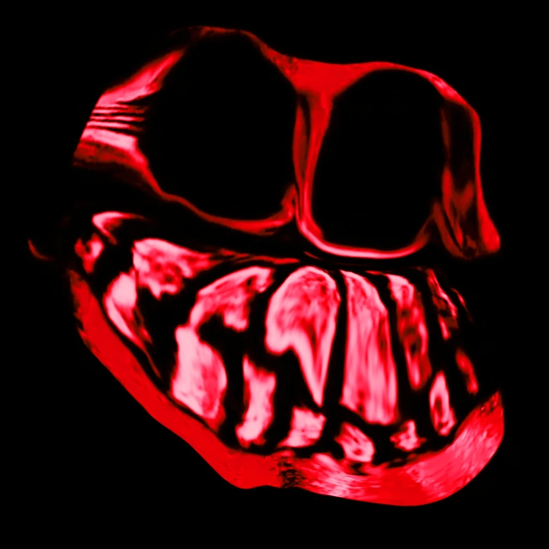 My phase 195 replacement | Fandom