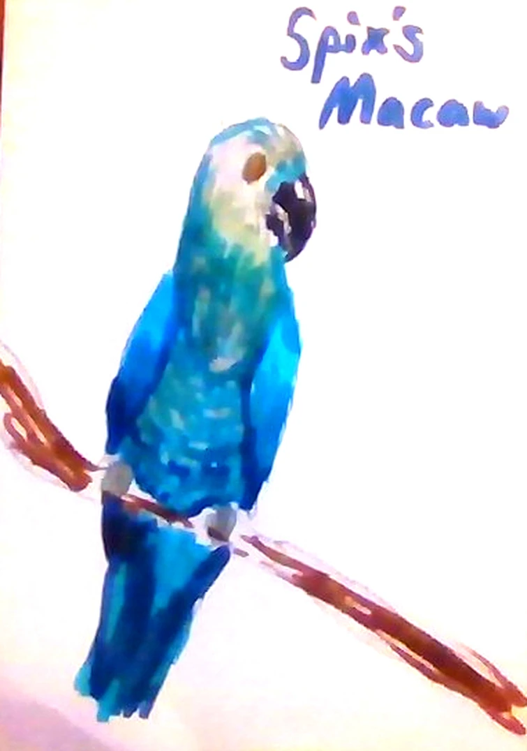 Discuss Everything About Prodigy Game Wiki | Fandom