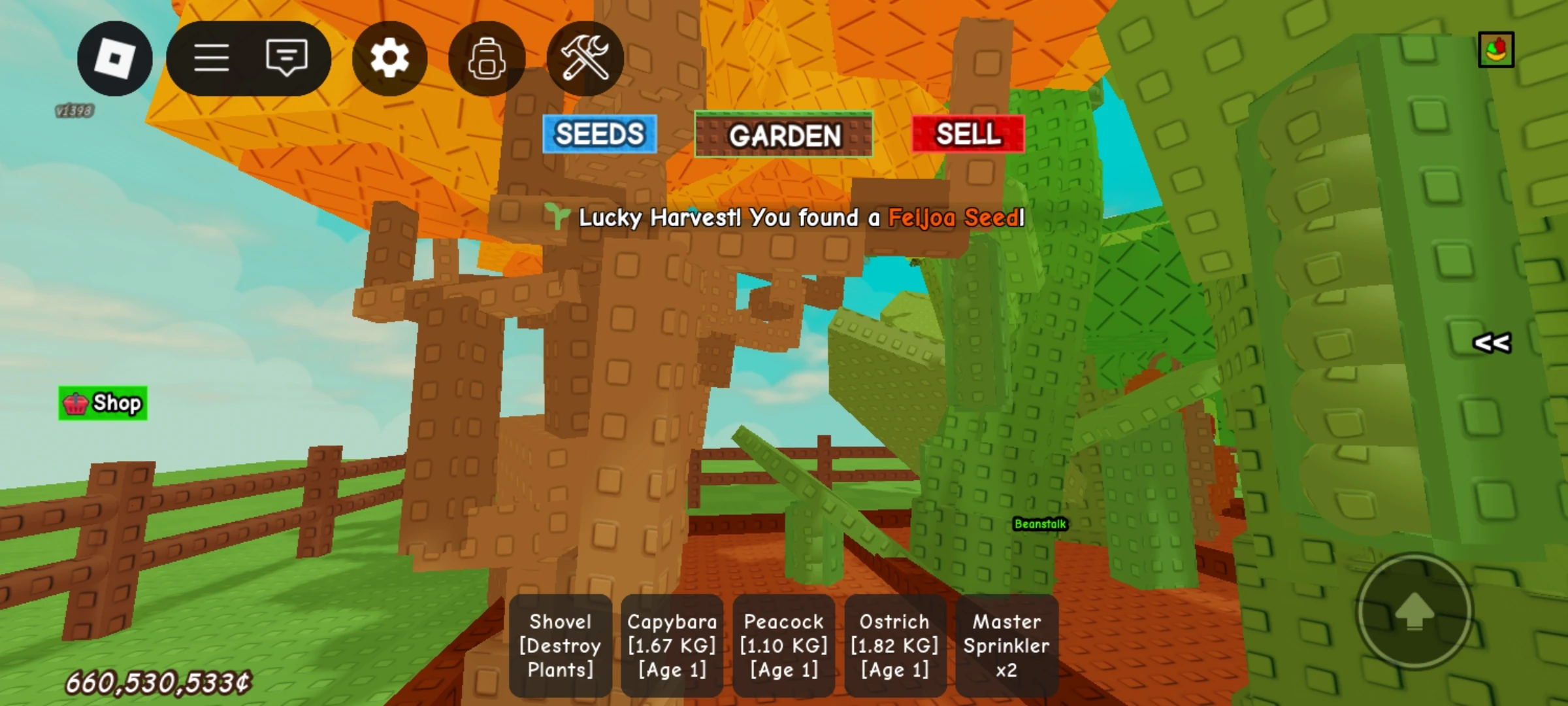 Feijoa Lucky Harvest | Fandom