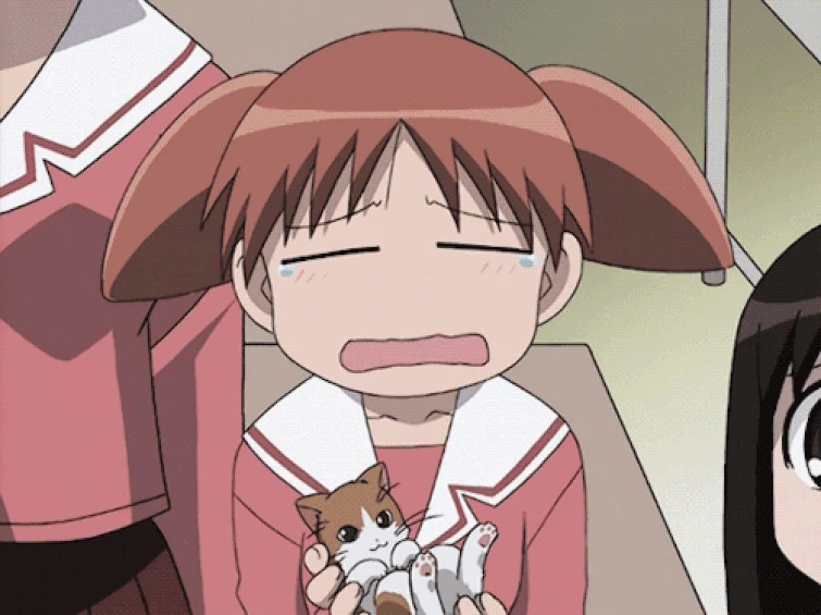 decide the fate of Chiyo chan | Fandom
