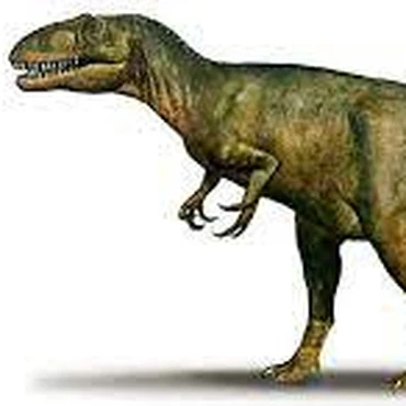 Discuss Everything About Dinopedia | Fandom