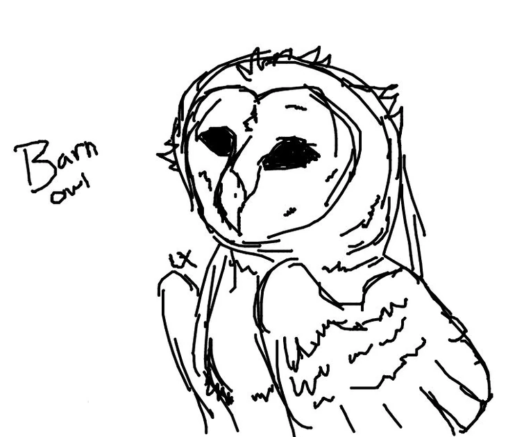 doodles I made on Drawaria :^ | Fandom