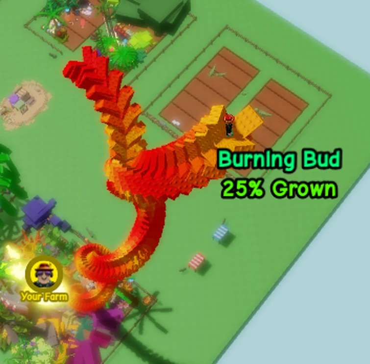 Update my burning bud: it has grown 2 branches it means i will have 2 ...