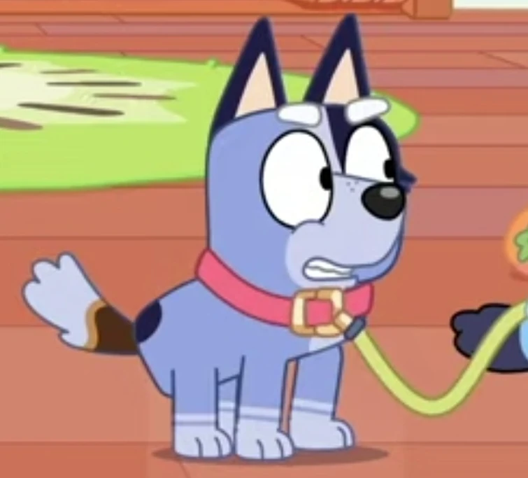 Discuss Everything About Bluey Wiki | Fandom