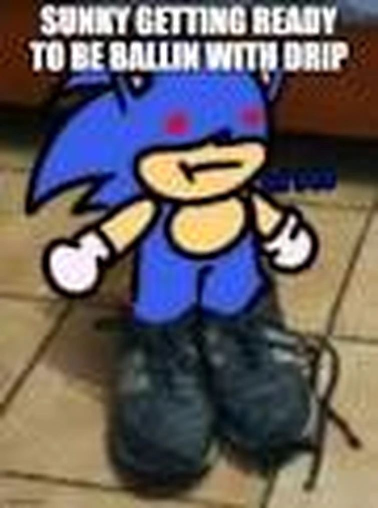 Where did the sunky memes go? try finding my meme in these 5 pictures! | Fandom