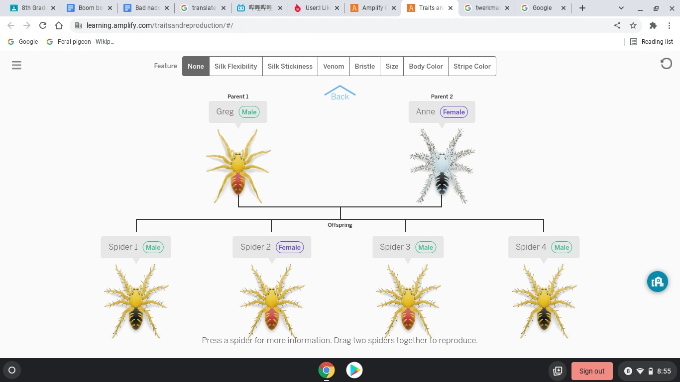 When spiders have babies | Fandom