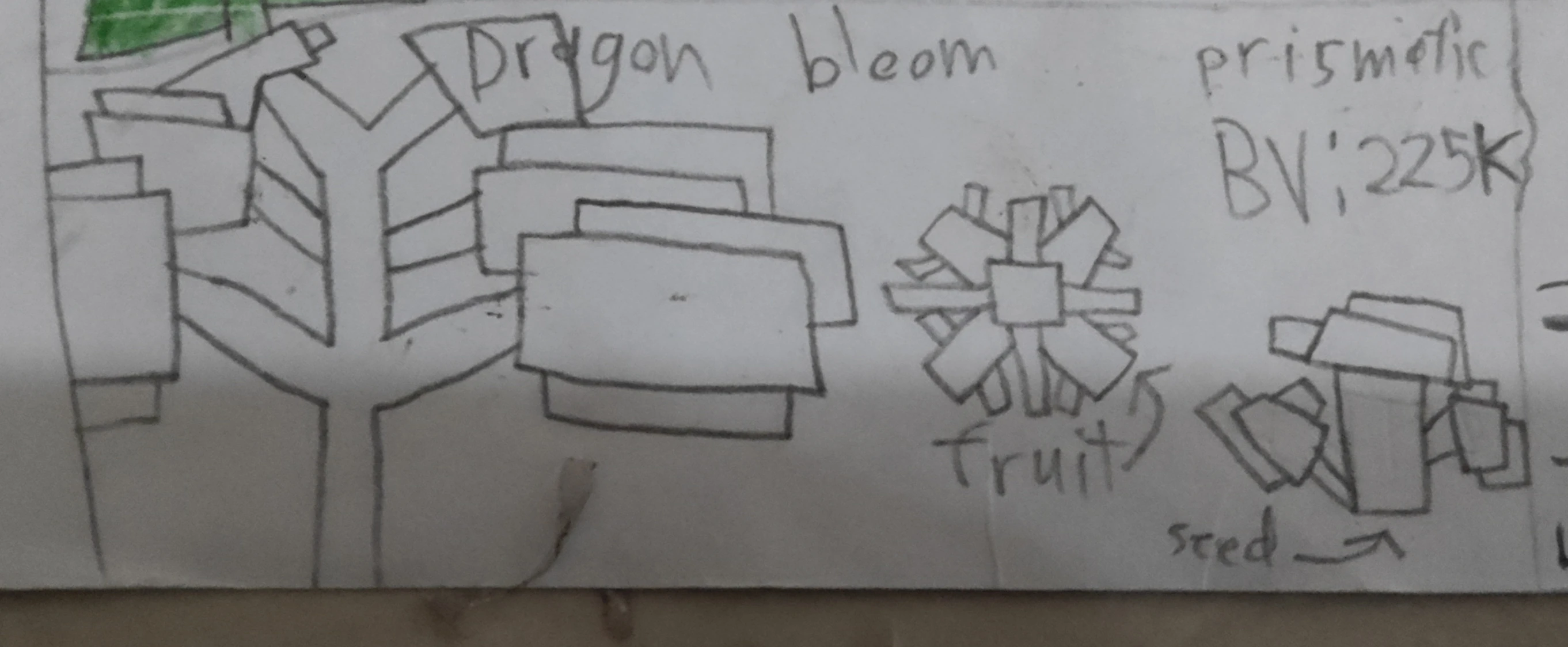 Finally the Dragon bloom (poll winner) and Friendboo (request) is here ...