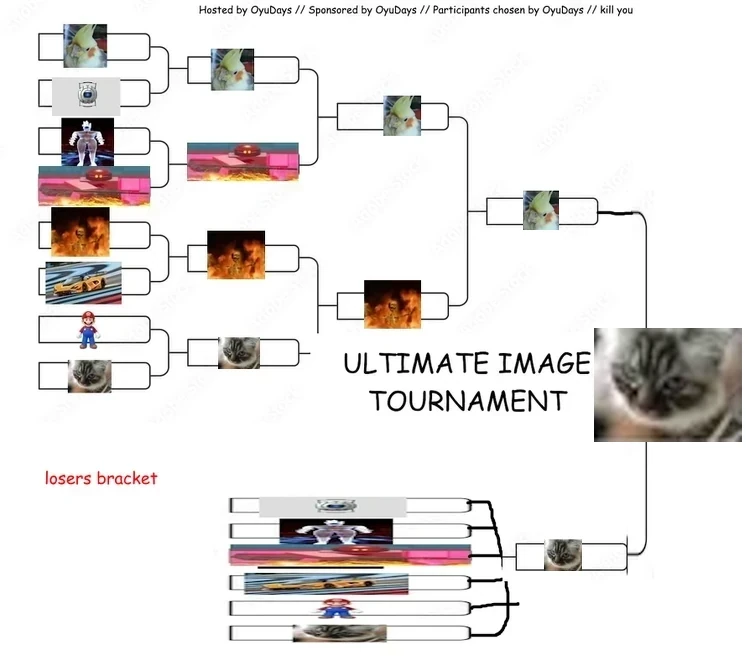 ULTIMATE IMAGE TOURNAMENT RESULTS | Fandom
