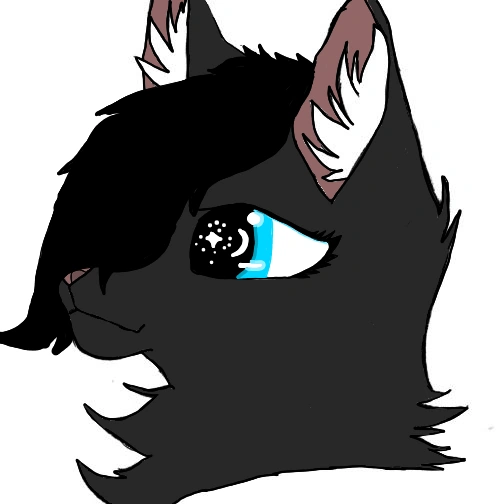 Nightwhisper fanart! | Fandom