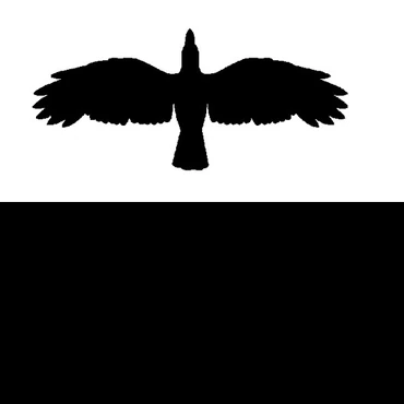 Corvus or Riaa | Fandom