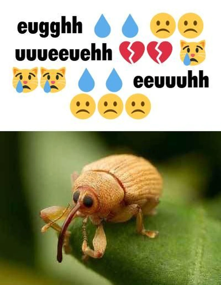 Tunner as Rye Cookie! | Fandom