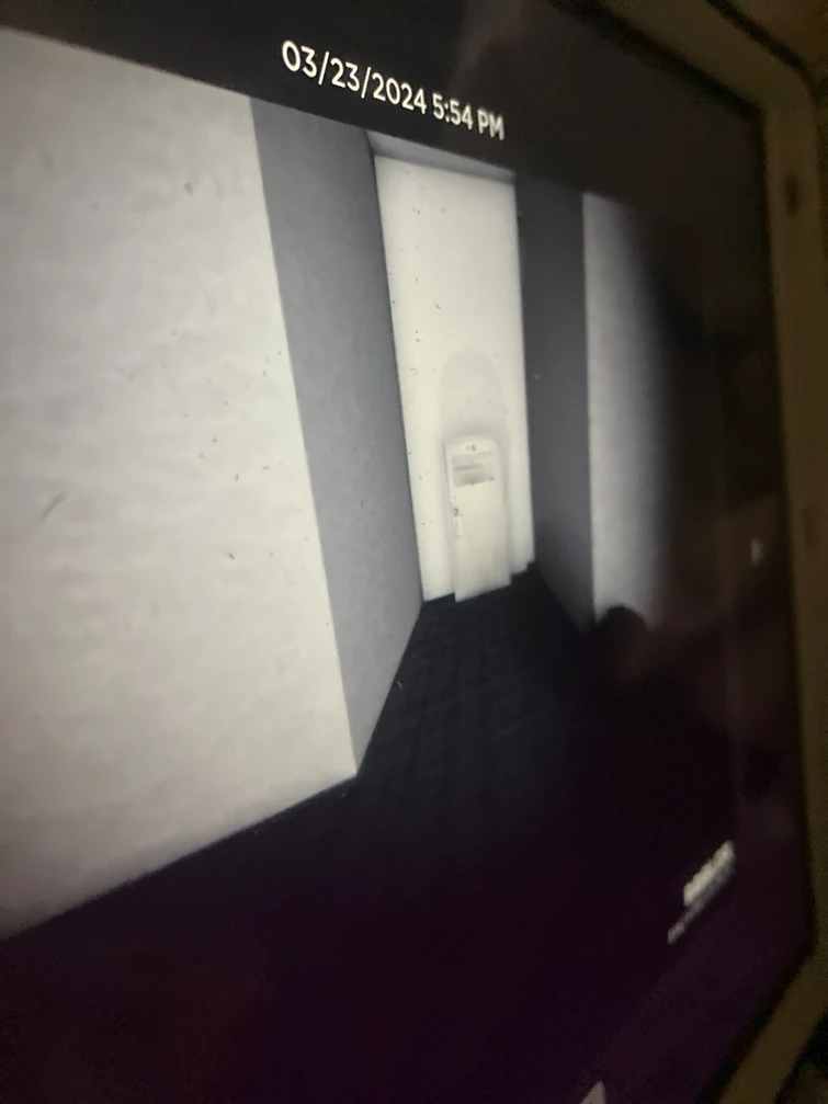 I was playing rld and this… | Fandom