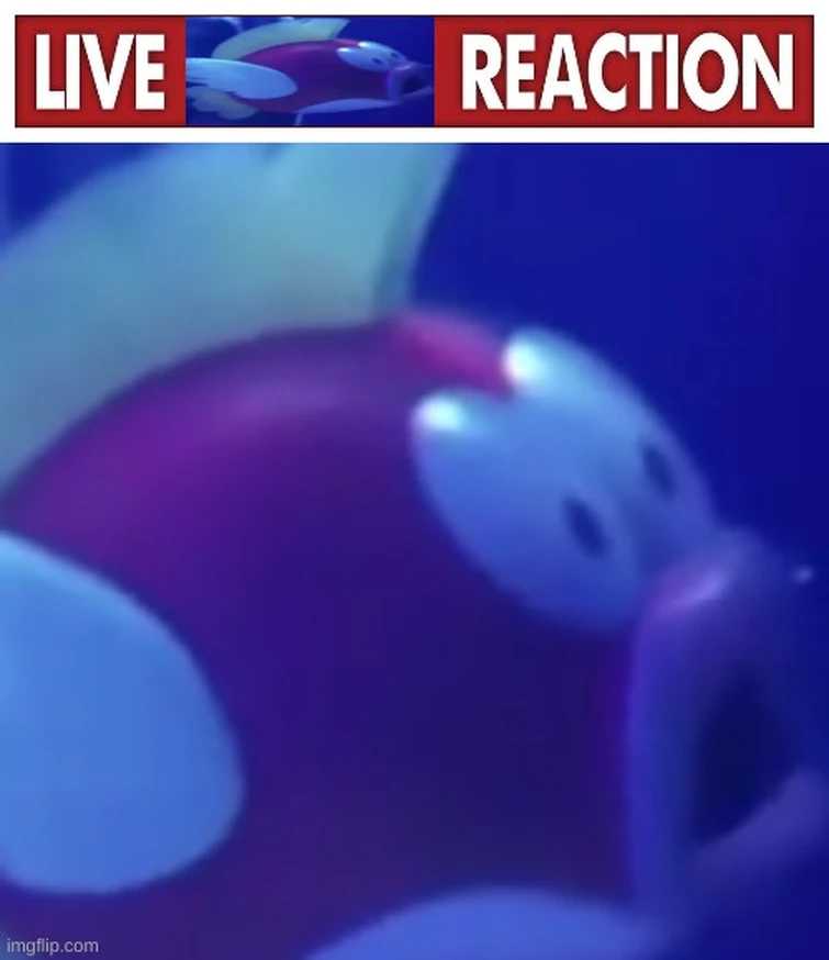 [LIVE REACTIONS] | Fandom