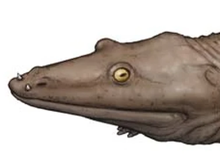 Rare Scargo | Fandom