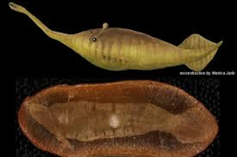 Discuss Everything About How to Train Your Dragon Wiki | Fandom