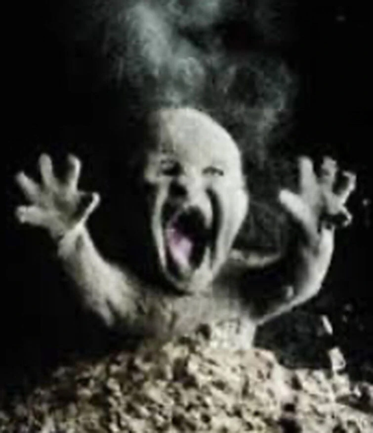 NOOBERT NO BEHIND YOU!! /silly | Fandom