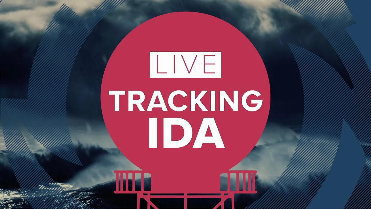 I’m Here To Keep Everyone Updated About Ida | Fandom