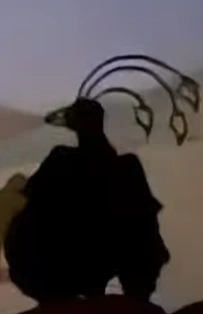 Narnia 1979 Bird | Fandom