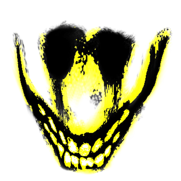 My recoded X-60 | Fandom