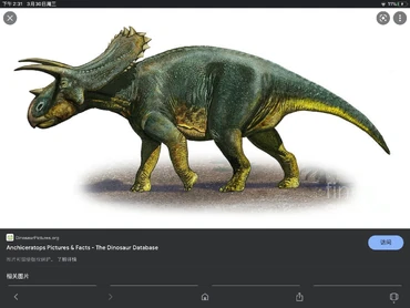 Discuss Everything About Dinosaurs Battle World Championship Wiki | Fandom