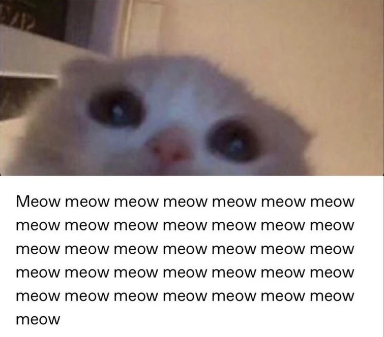 Give me a project sekai character and I'll assign them a cat meme :D ...