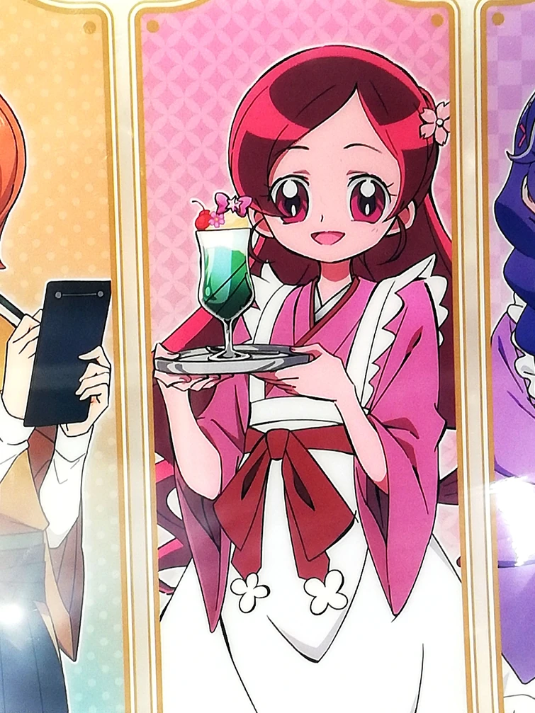 Pretty Cure Restaurant Series Goods, and Tokyo sightseeing report! | Fandom