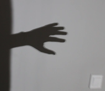 My first entity | Fandom