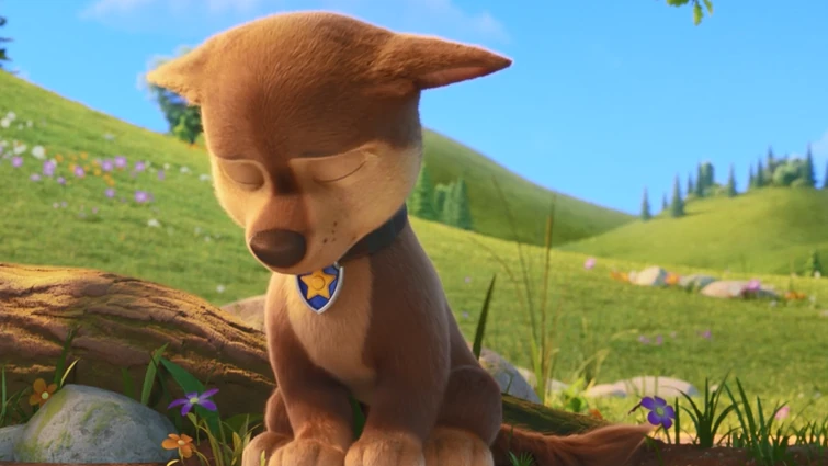 Marshall and Chase's bond forever torn to pieces | Fandom