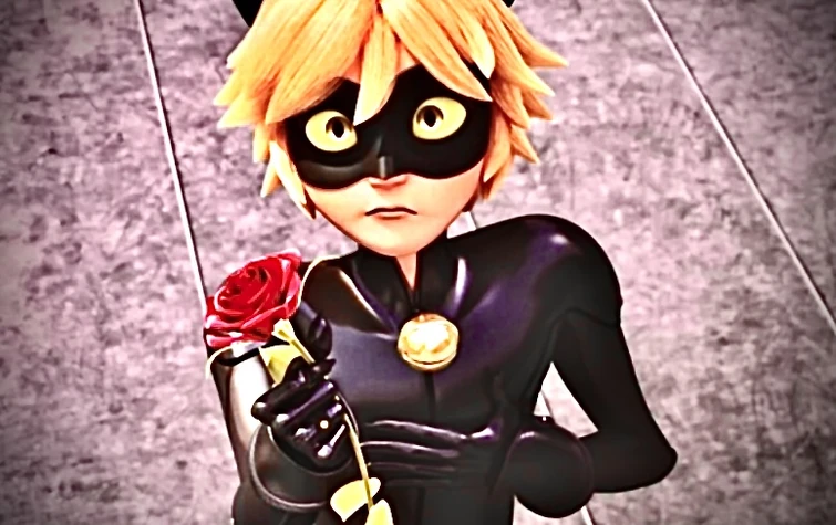 Cat noir edits | Fandom