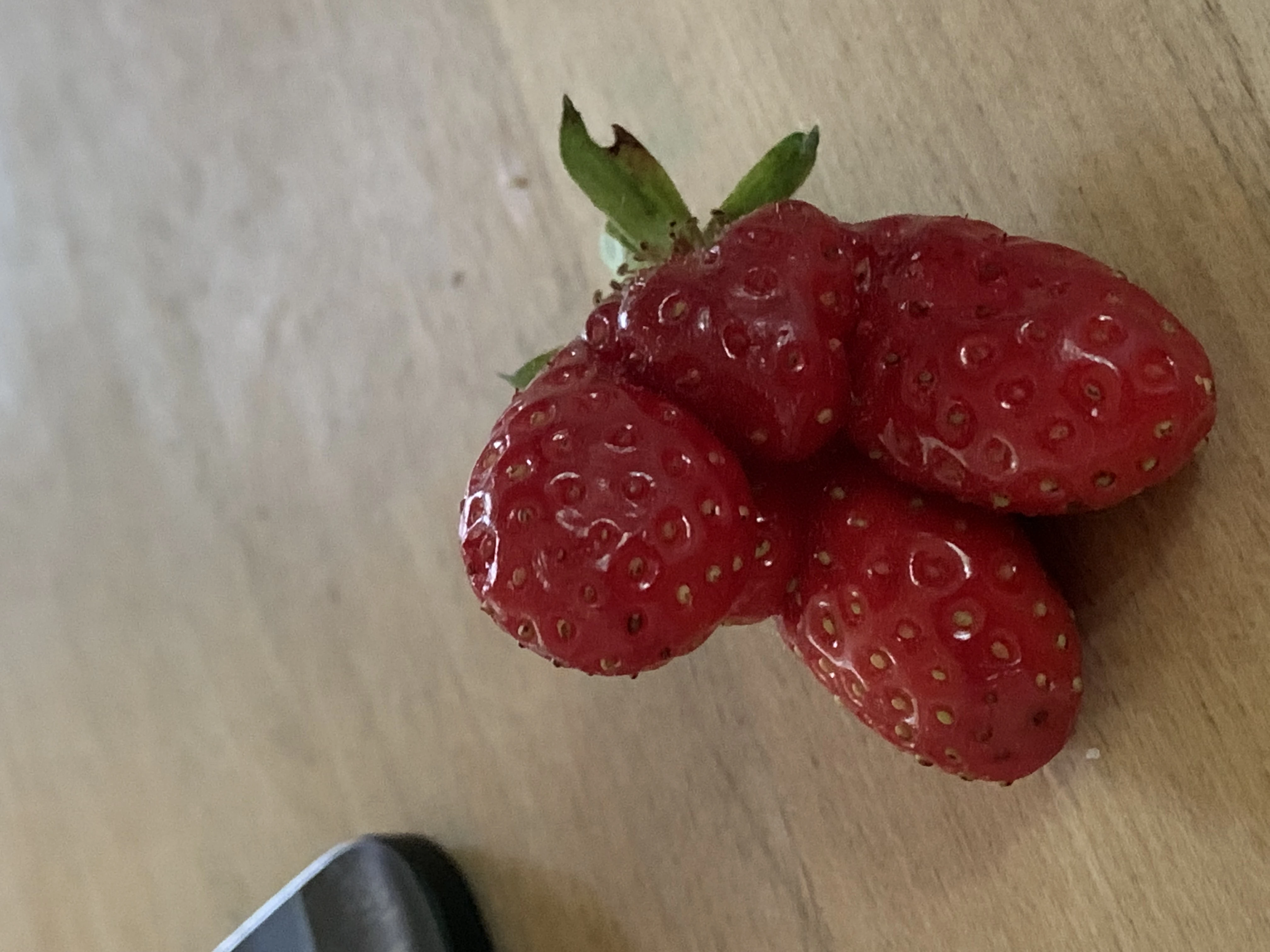 Random Wisdom with Winter | Fandom