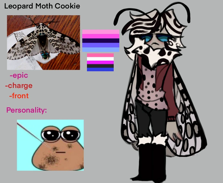 I made a bunch of designs for cookies based on moths | Fandom