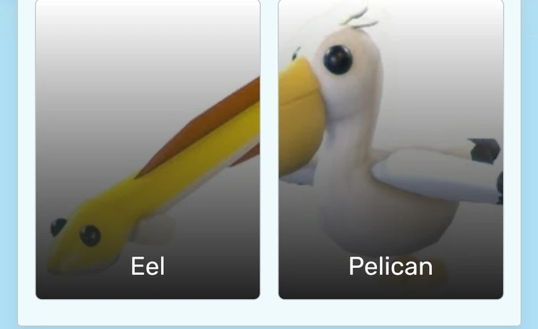 Why does the eel look like its apart of the pelicans beak- | Fandom