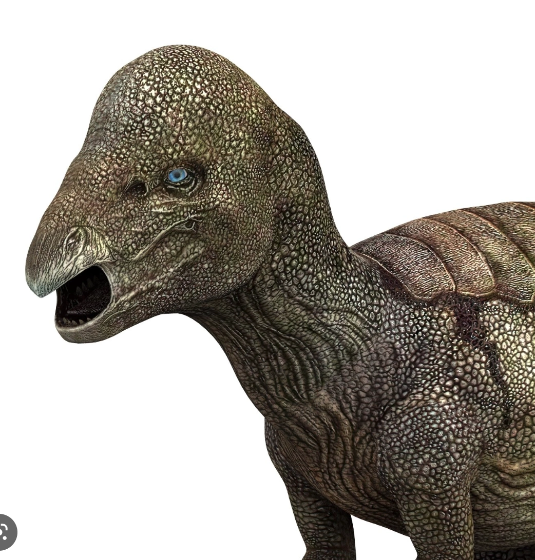 Cursed Pachy | Fandom