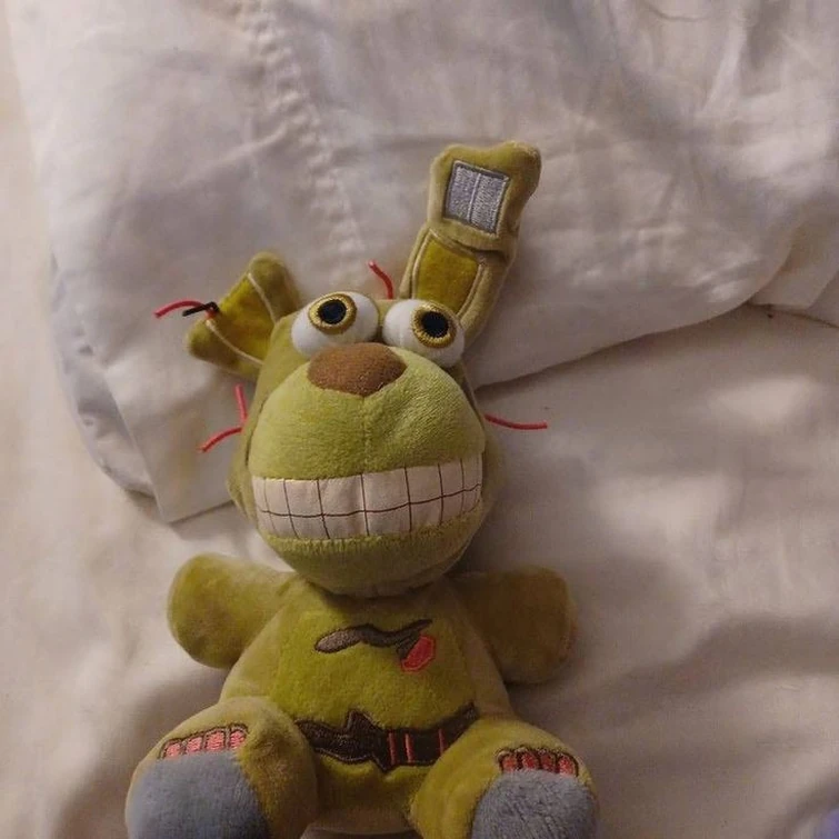 Am I wrong? | Fandom