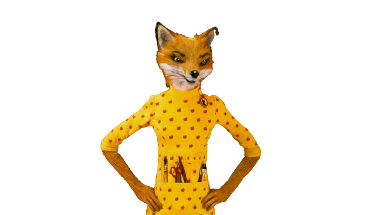 So many foxes! | Fandom