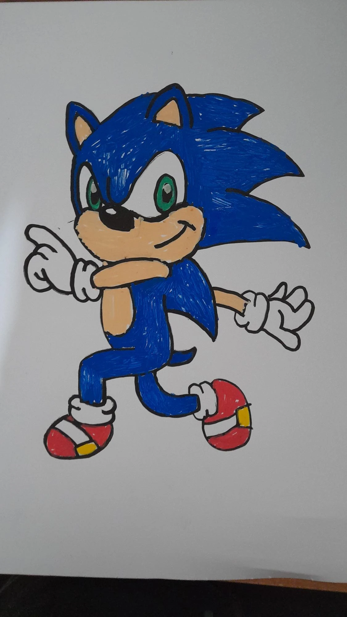My Posca pen drawing of Sonic (full body) | Fandom