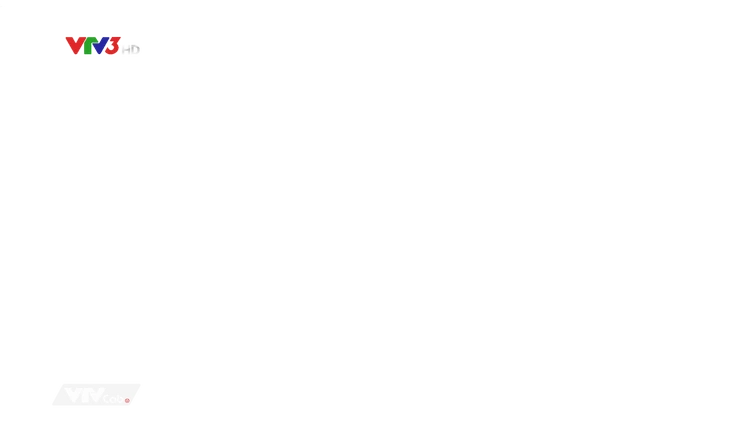 Discuss Everything About Wikia Logos | Fandom