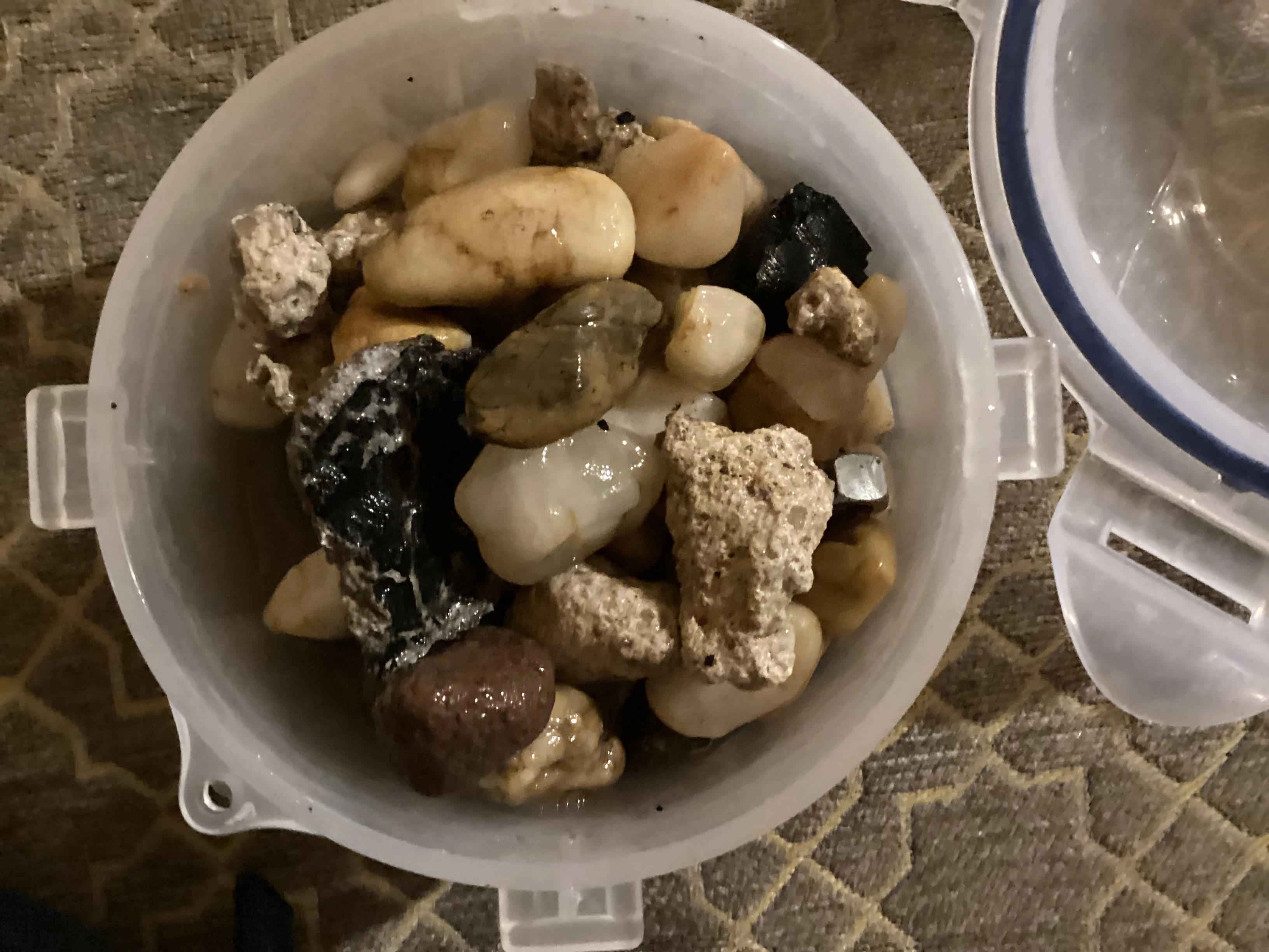 My rocks and shells. | Fandom