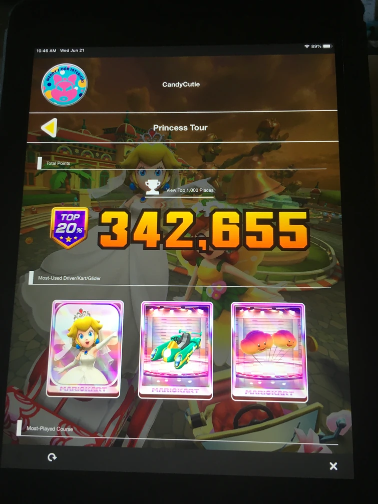 My princess past tour stats | Fandom