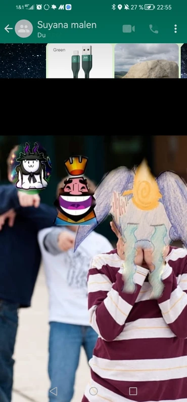 Your Opinion about Mizli | Fandom