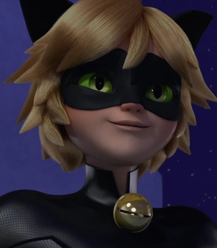 Chat noir smiling to brighten up your day | Fandom