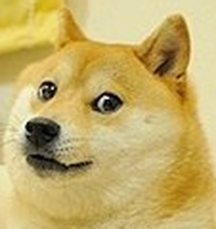 Hey wanderer, stop here to take this doge made with symbols with you ...