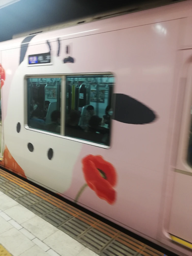 Precure Pretty Store Tokyo Report + Sanrio train and so on + my message ...