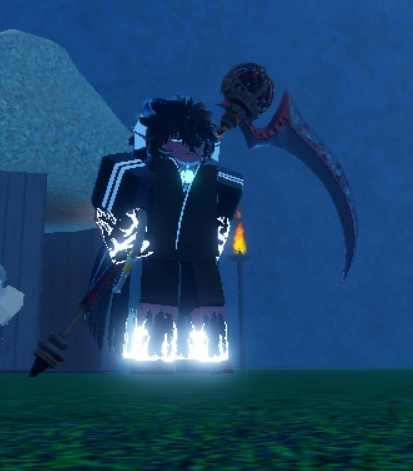 Finally got Buso V2! | Fandom